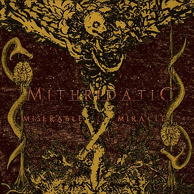 Meet the band MITHRIDATIC – Metal Centre